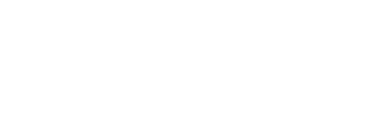 DTDC vs Speed Post: Which is Better for eCommerce Deliveries